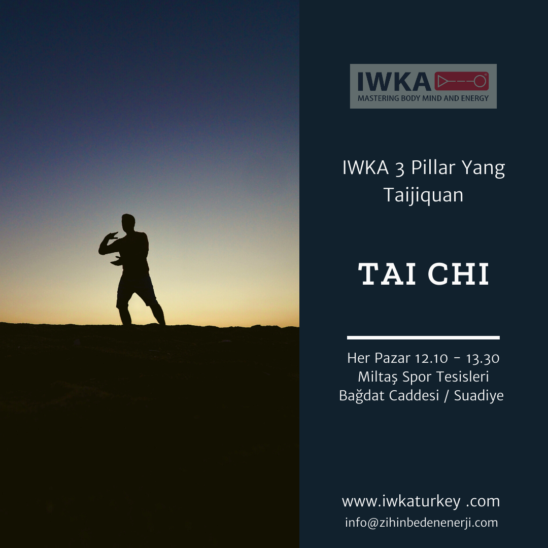 Tai Chi - IWKA Turkey - Mastering Body Mind and Energy